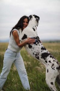 The 10 Most Adorable Great Dane Pictures - Hello Danes