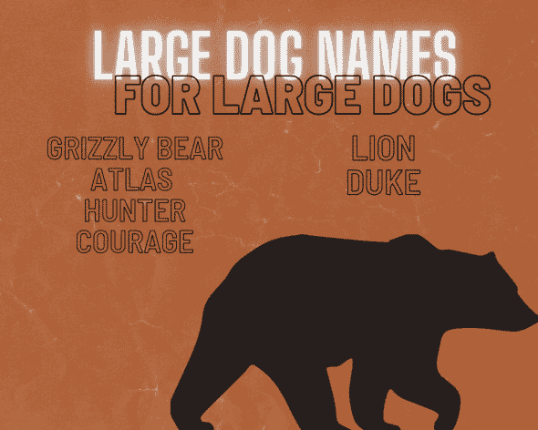 The Most Popular Big Dog Names: Unique Names for Your Giant Dog - Hello ...