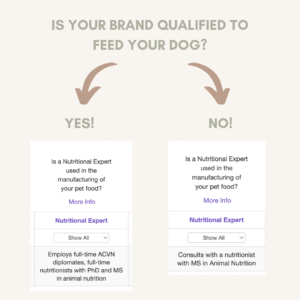 Dog Food DCM in Great Danes - Hello Danes