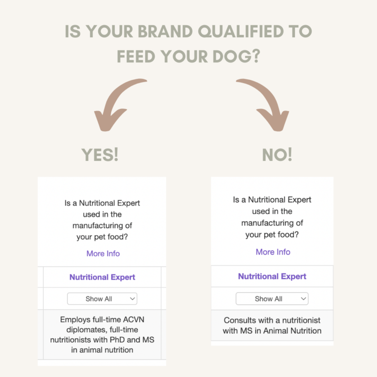 Dog Food DCM in Great Danes - Hello Danes